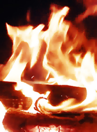 Détendez-vous avec votre chat au coin du feu ! - Actualités - Pourquoi ...